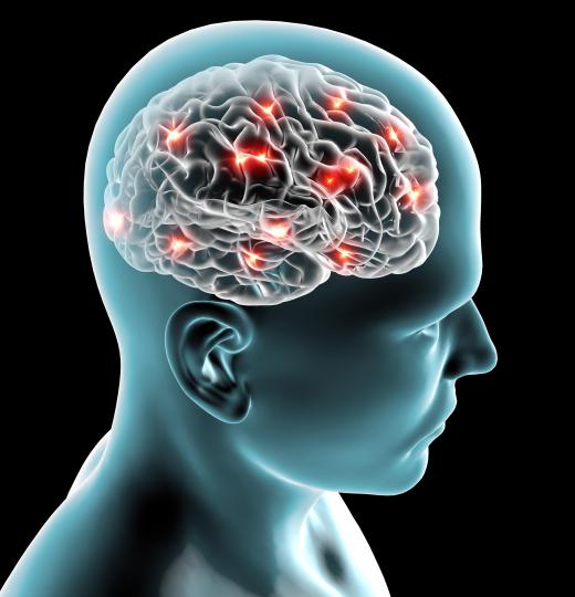 What Is The Function Of A Motor Neuron with Pictures 